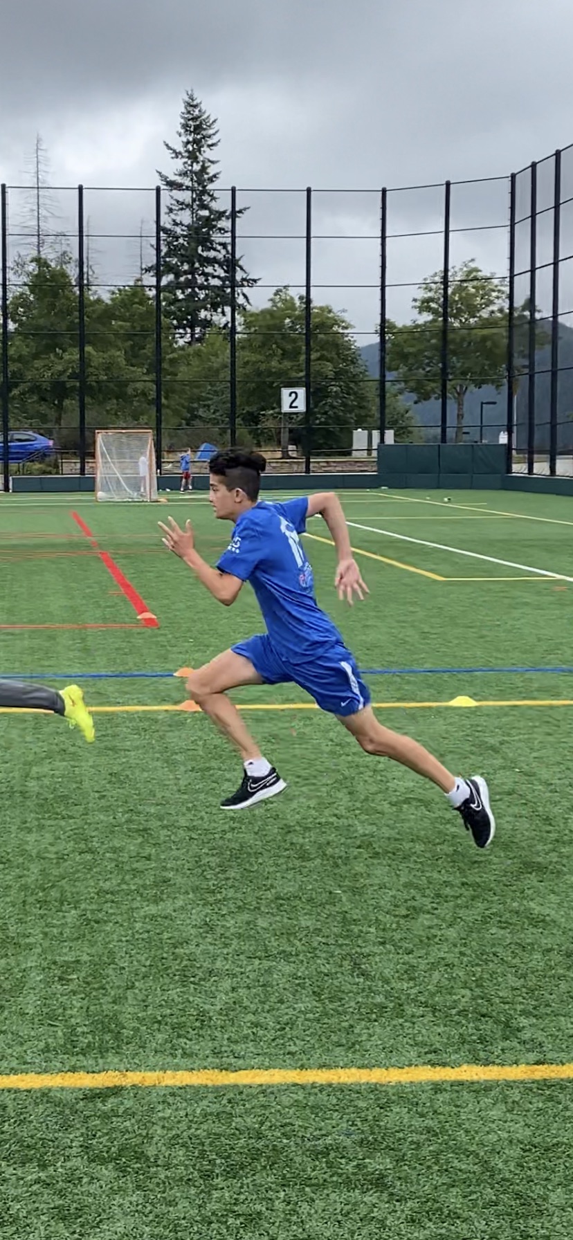 Gallery - Flay Speed and Conditioning